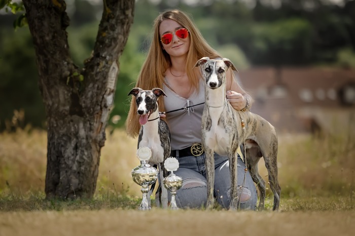Beach House Silverstone :: Whippet